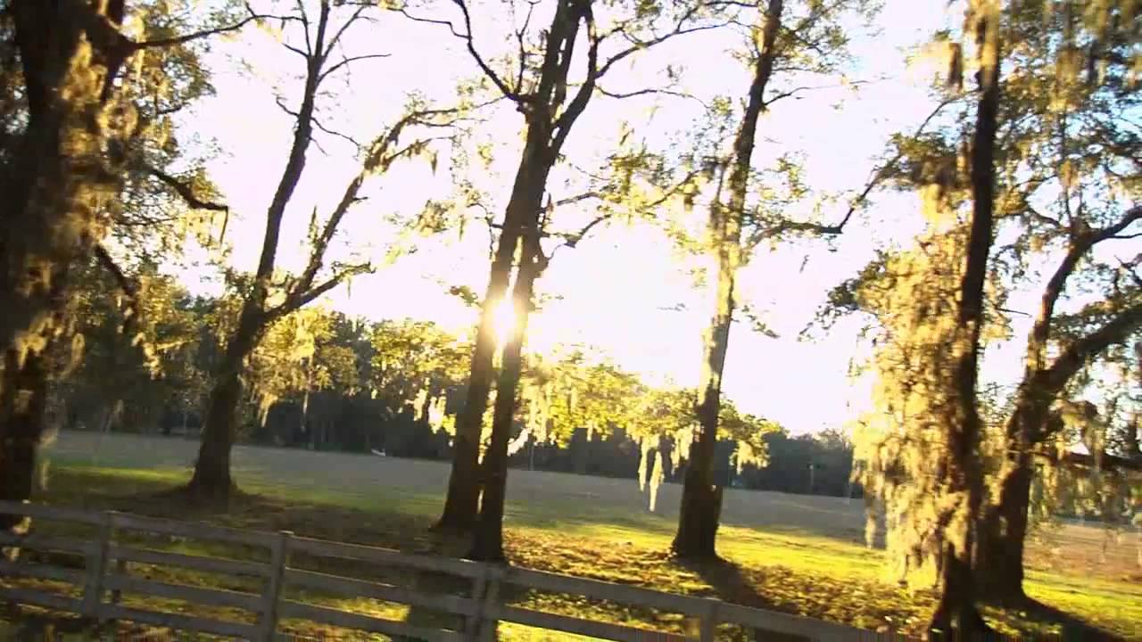 GTO Gate Openers - GATES THAT OPEN - YouTube