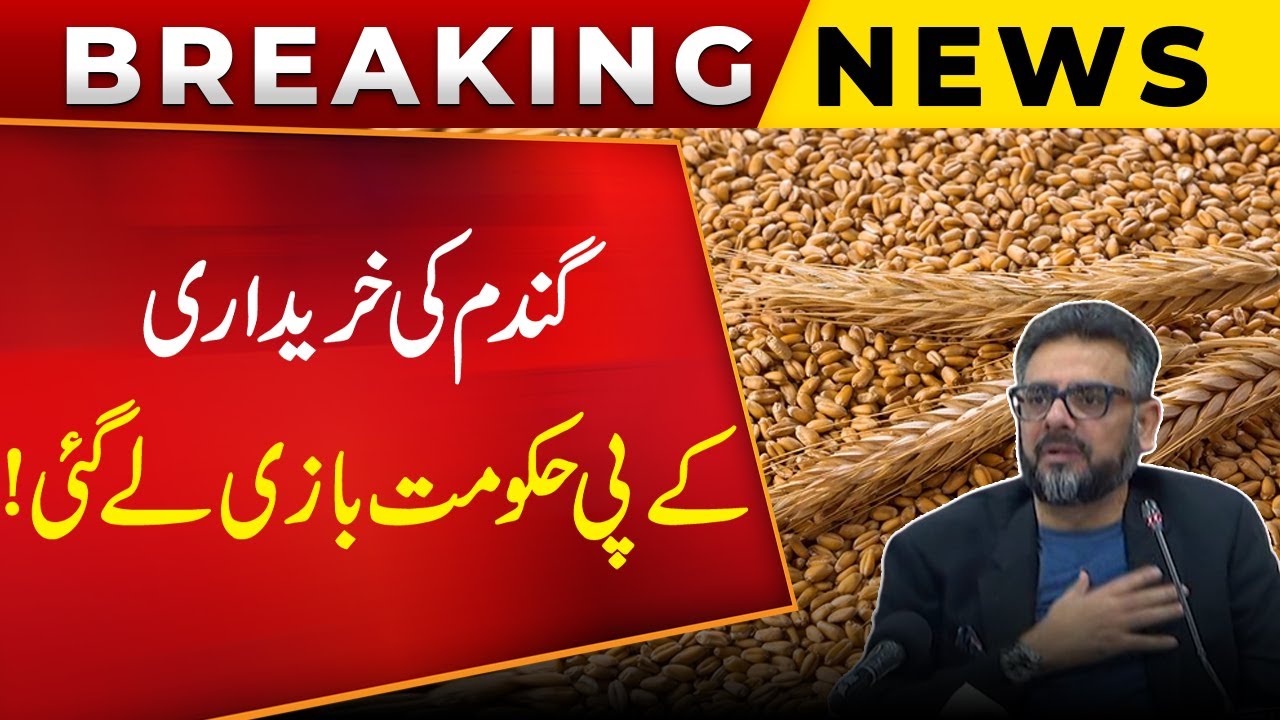 KP Govt Takes Lead in Wheat Procurement | Muzammil Aslam Talks to Media ...