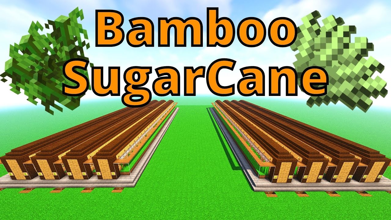 Minecraft Tutorial | Bamboo | Sugarcane farm 1.18 | Fully Automatic ...