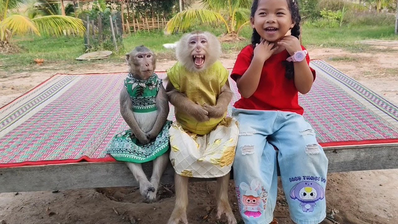 Beautiful Dancing of yaya team - YouTube