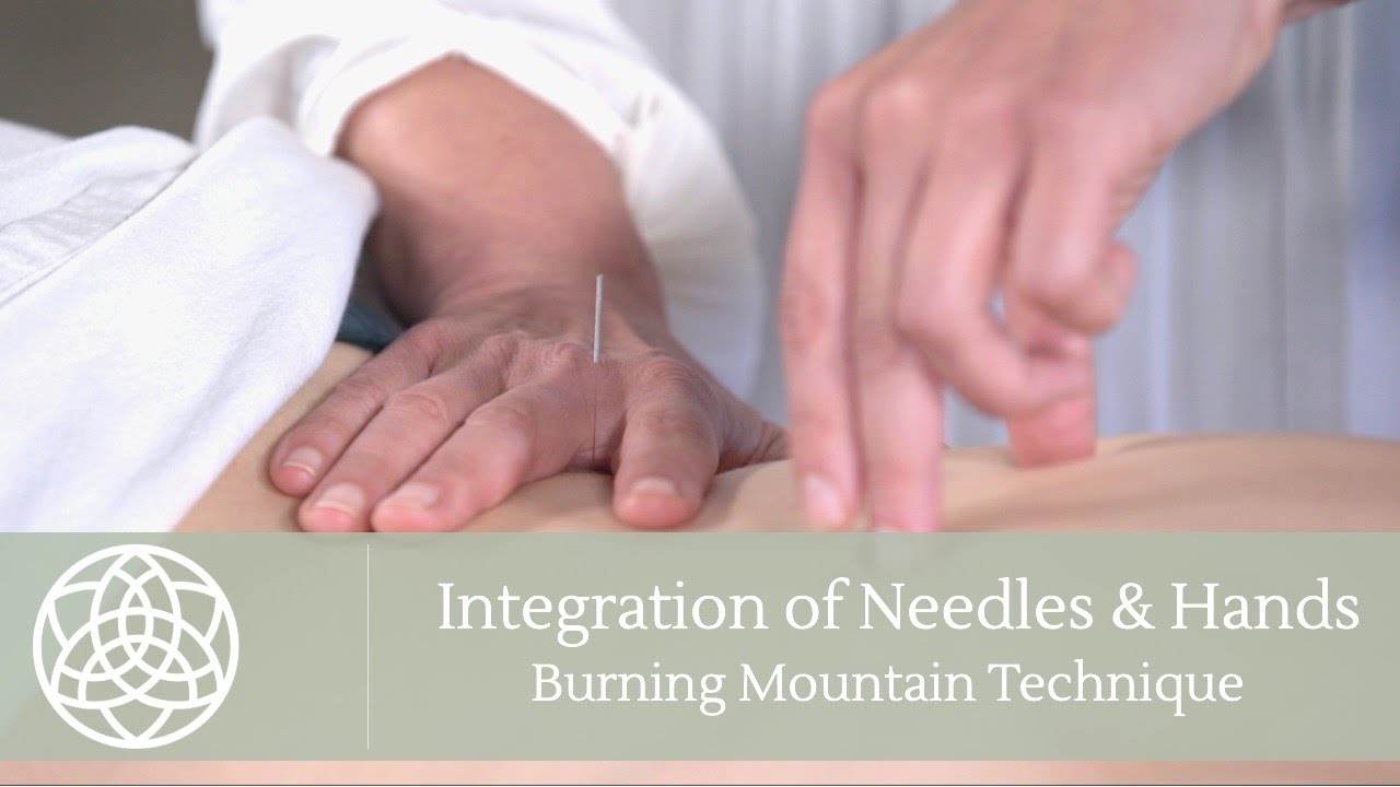 How to Integrate Tui Na and Needling | Mini-lesson with Sarah Pritchard ...