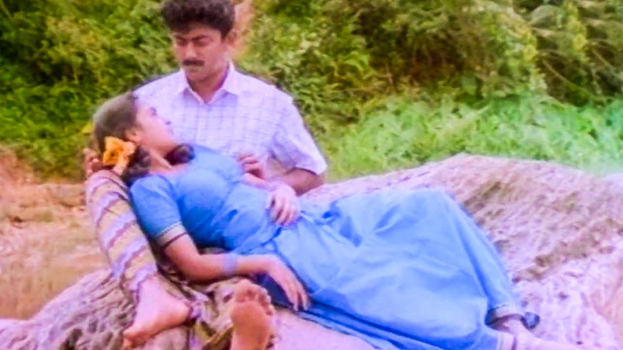 എന്റെ രായപ്പന് ഞാനില്ലേ....! | Ponnuchami Movie Scene | Malayalam Movie ...