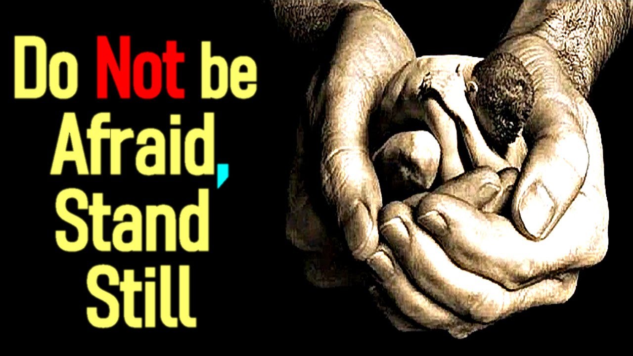 Do not be Afraid, Stand Still - Scripture Song / Lyrics / Rich Moore ...