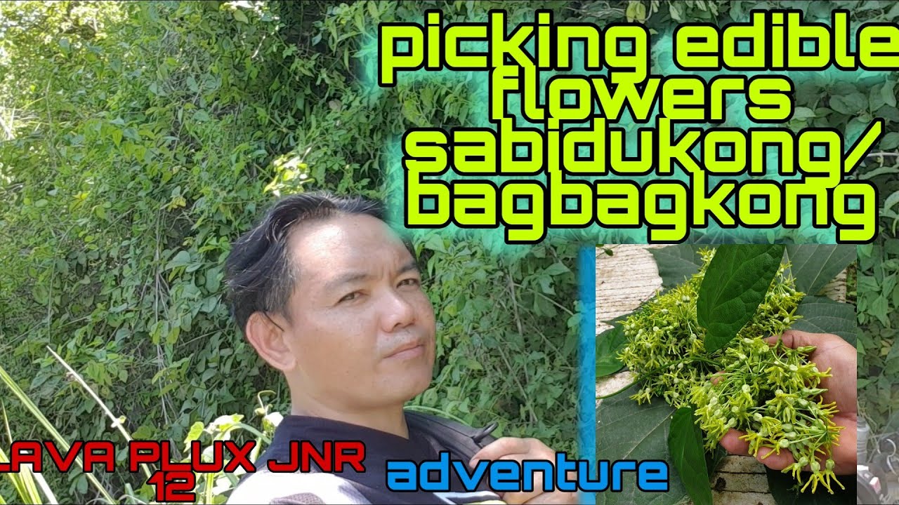 Bagbagkong or Sabidukong picking for... free - YouTube