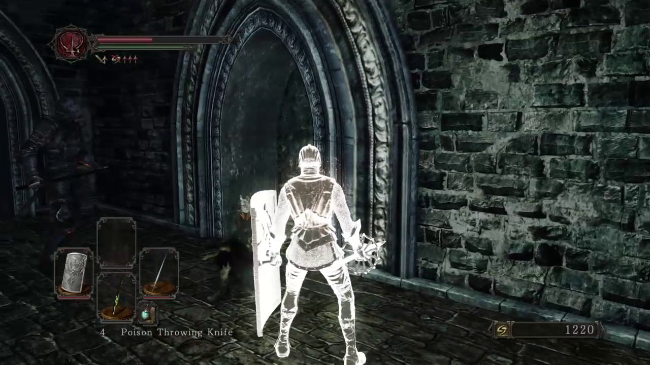 Dark Souls 2 SOFTS: All I wanted were some red eye orbs, but I got an ...
