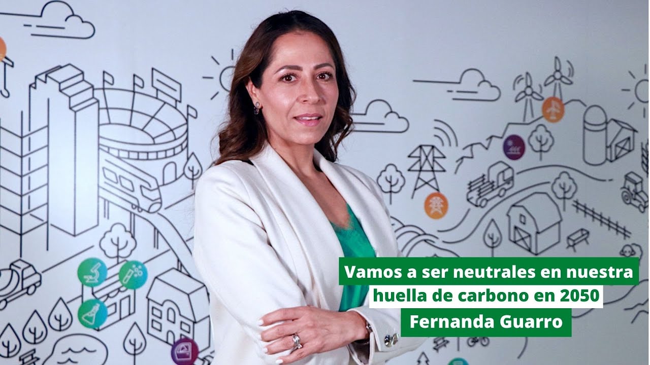 Fernanda Guarro, CEO de 3M México: Nuestra gente decide cómo quiere ...