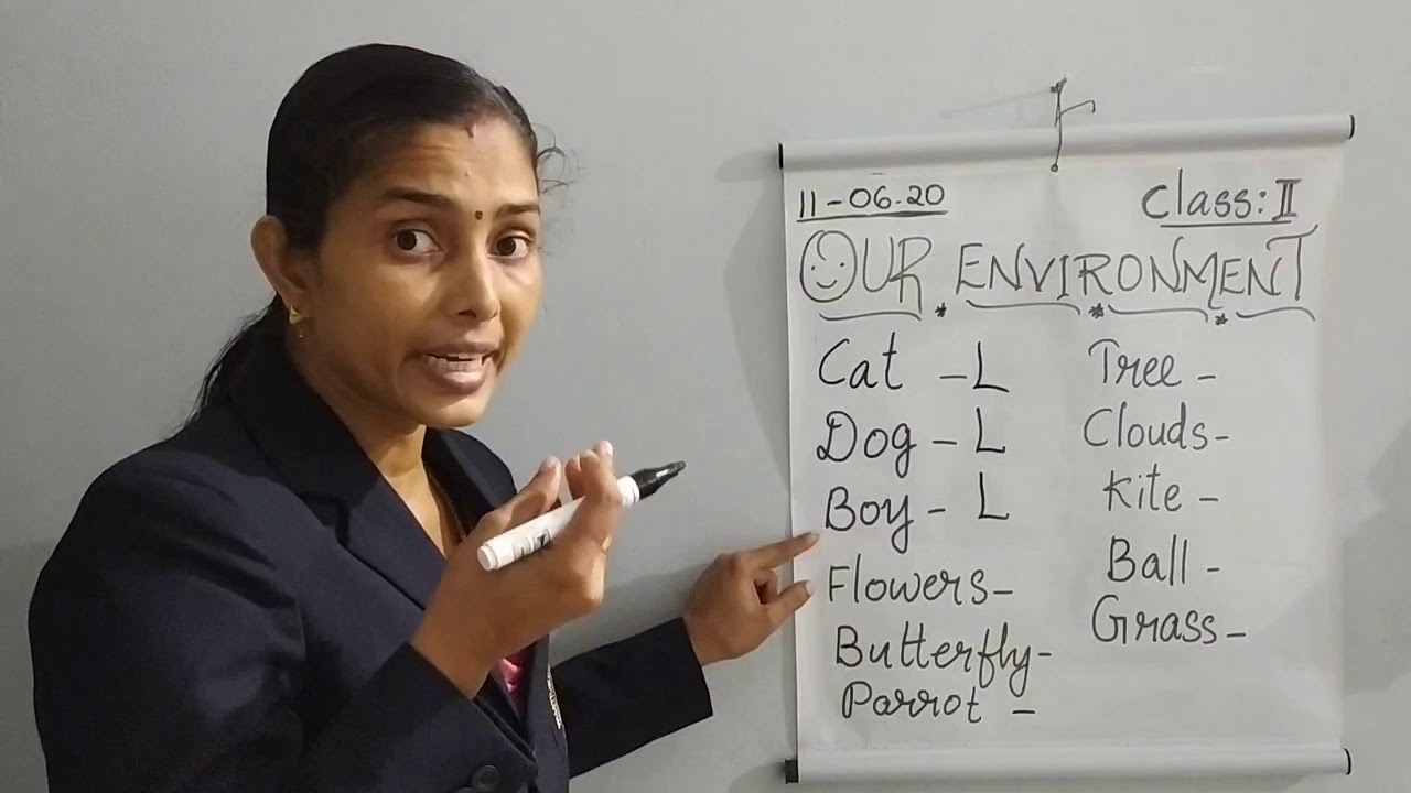 CLASS 2 OUR ENVIRONMENT Part 2 - YouTube