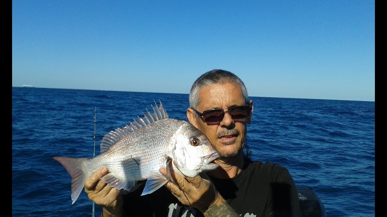 Fishing Perth WA Pink Snapper 1st demersal for 2018 - YouTube
