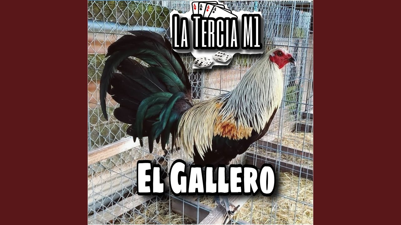 El Gallero - YouTube