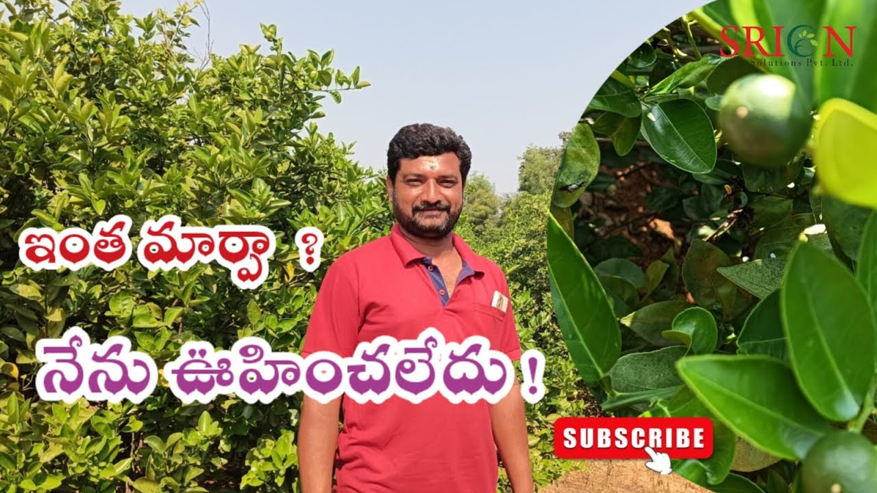 ఇంత మార్పా ? |CitrusFarming |Bathayi |BestChanges |ByUsing ...