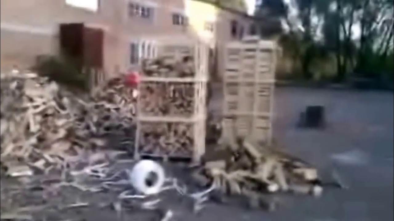 упаковка дров на экспорт дрова на экспорт продам дрова - YouTube