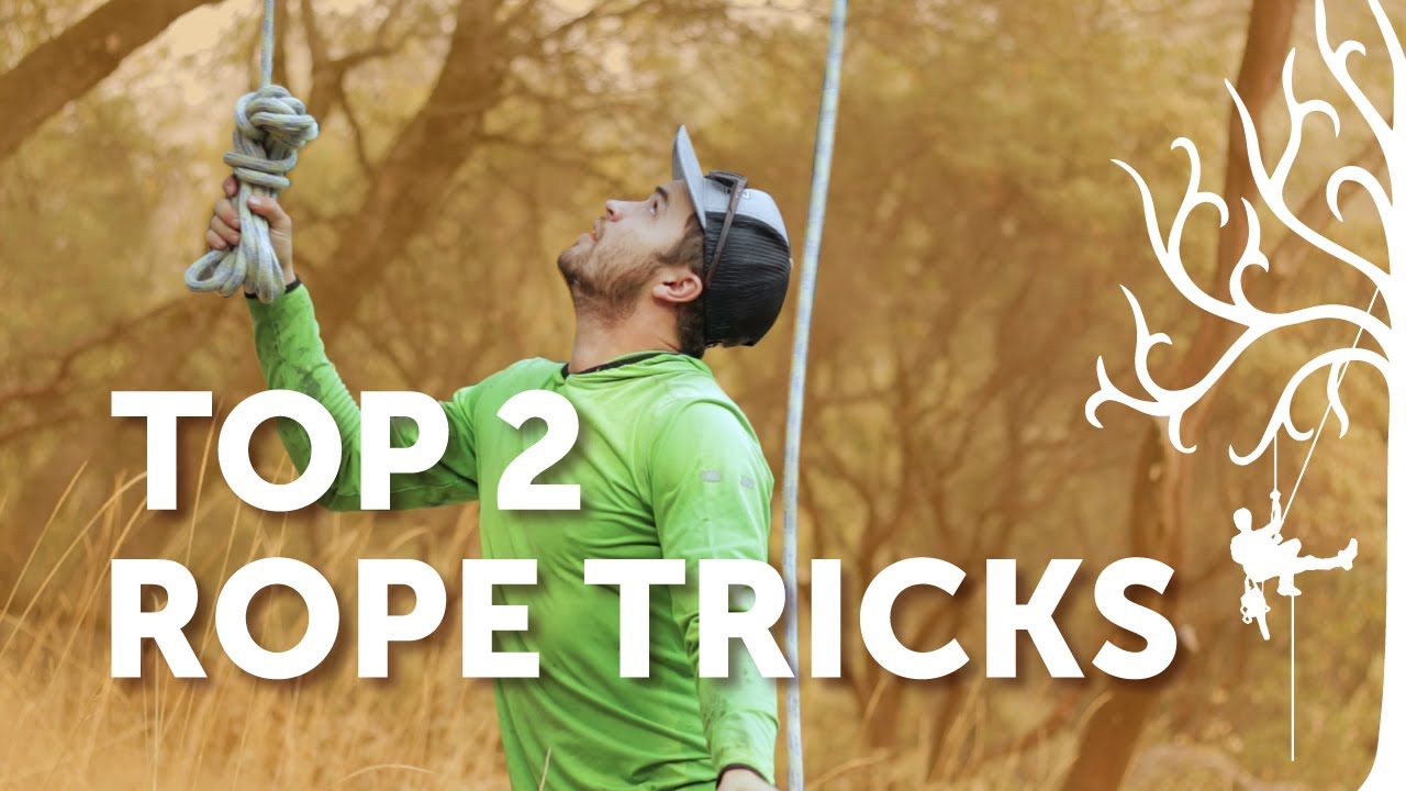 Top 2 Time Saving Tree Roping Tricks | Professional Arborist Tips ...