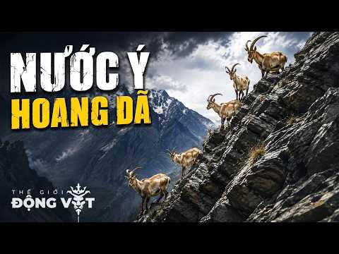 NƯỚC Ý HOANG DÃ | Thế Giới Bí Ẩn Trên Những Vách Đá Alps