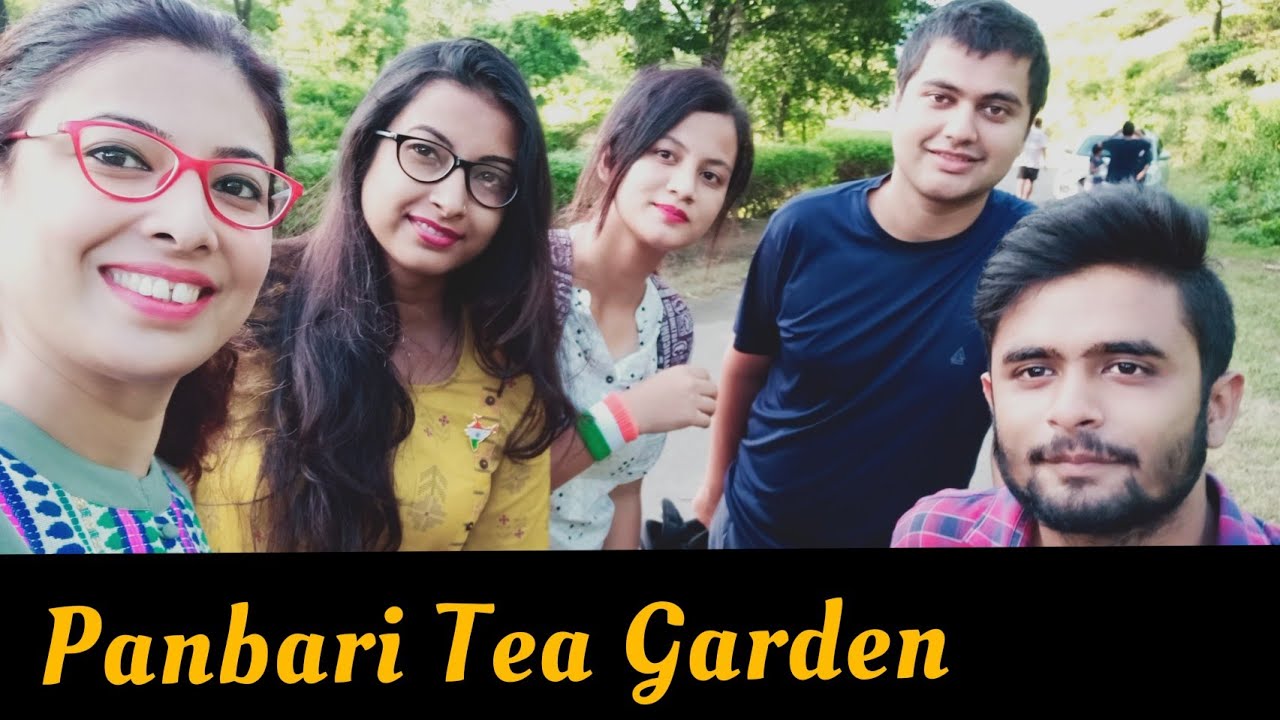 Panbari Tea Garden Estate, Chandrapur Digaru Road - YouTube