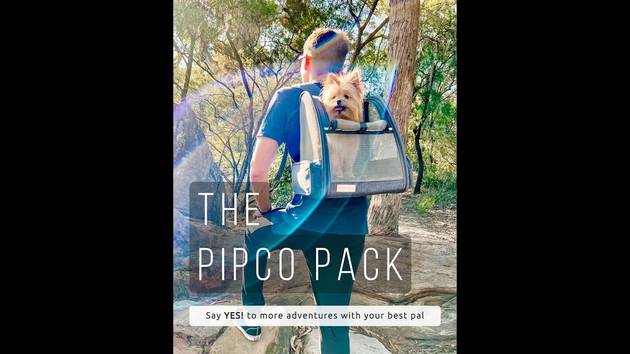 Pipco Pack - Pet Backpack Carrier - YouTube