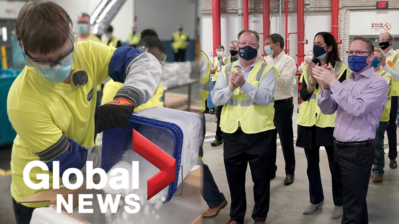 Coronavirus: Pfizer workers cheer as first COVID-19 vaccines are ...