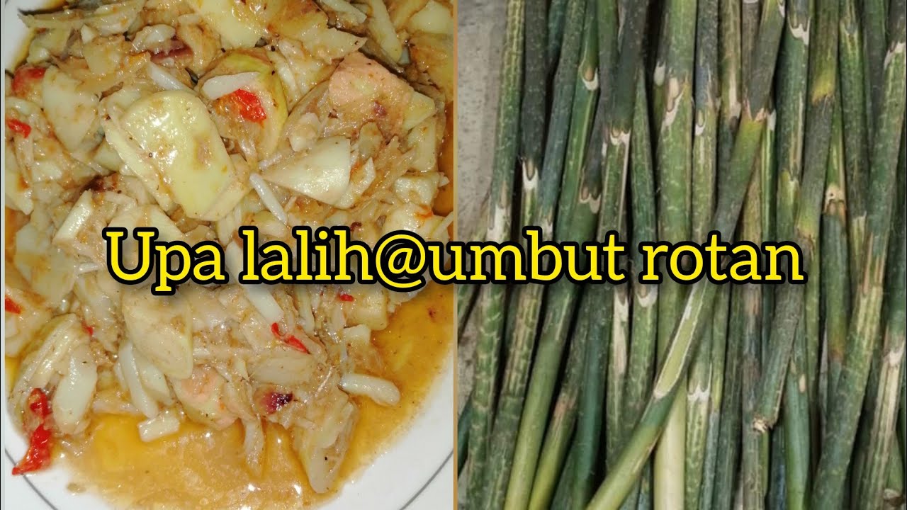 Upa lalih@umbut rotan tumis ikan bilis&belacan😘😋 - YouTube