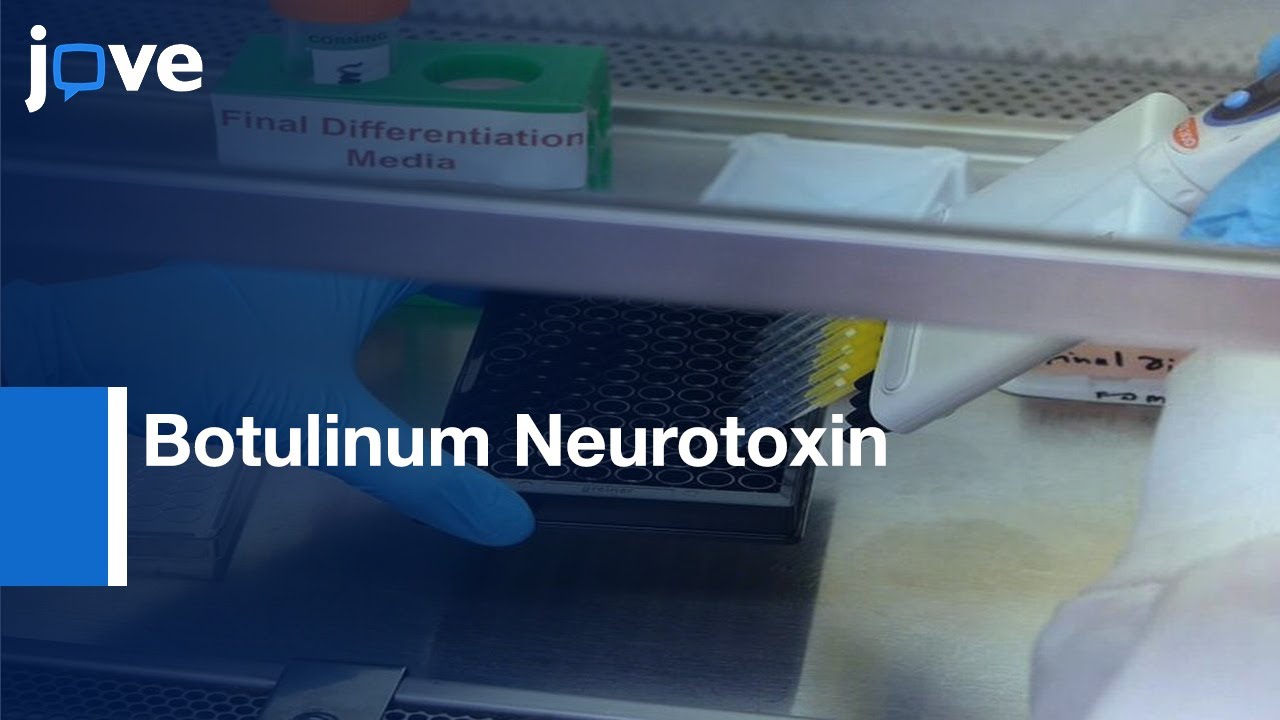 Botulinum Neurotoxin Inhibitors Identification by Imaging Assay ...