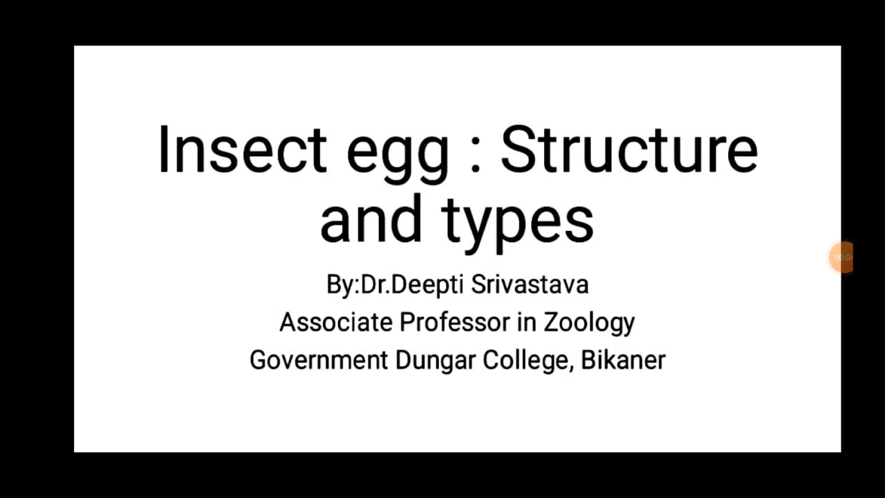 Insect egg : Structure and types - YouTube