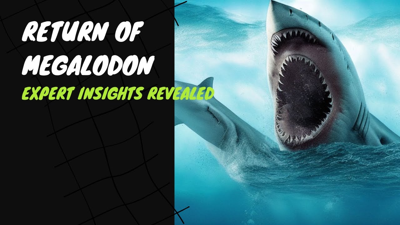 The Return of Megalodon, expert insights revealed #UnveilingTheTruth # ...