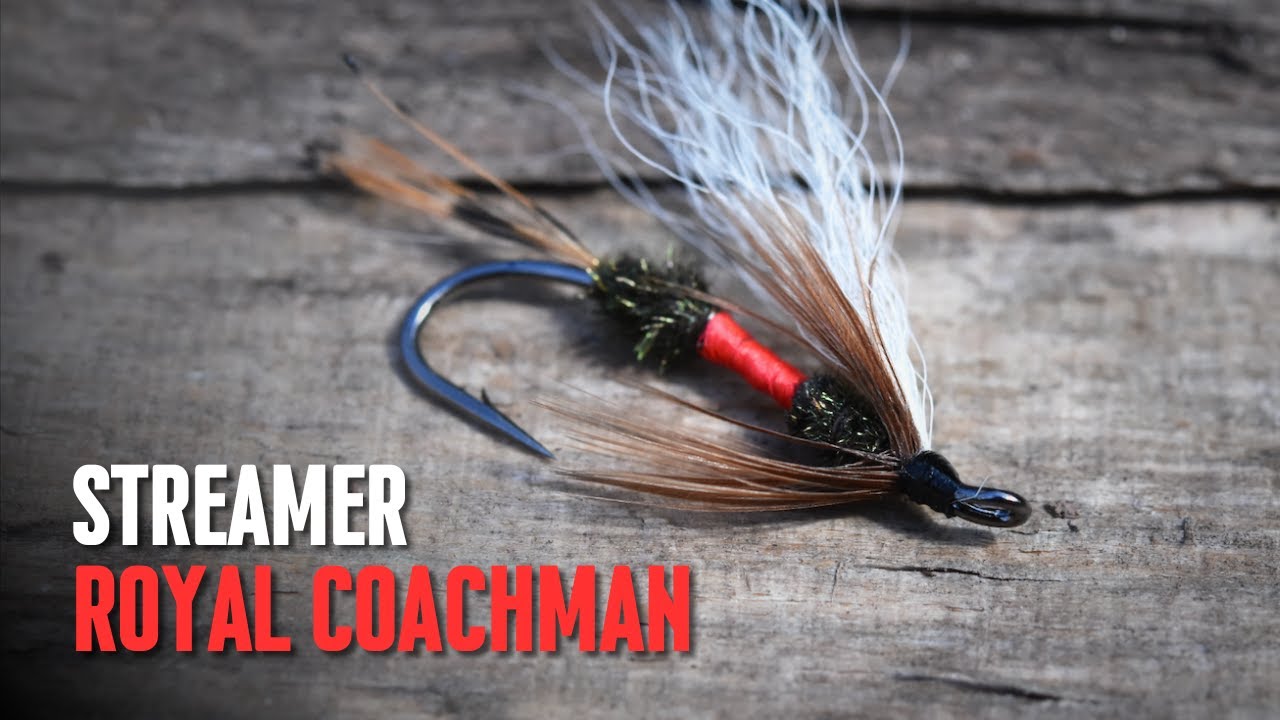 Royal Coachman Streamer, Classic Fly Pattern for Steelhead and Salmon ...
