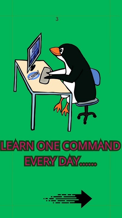 Learn one command every day.-3 #linux #linuxcommandline - YouTube