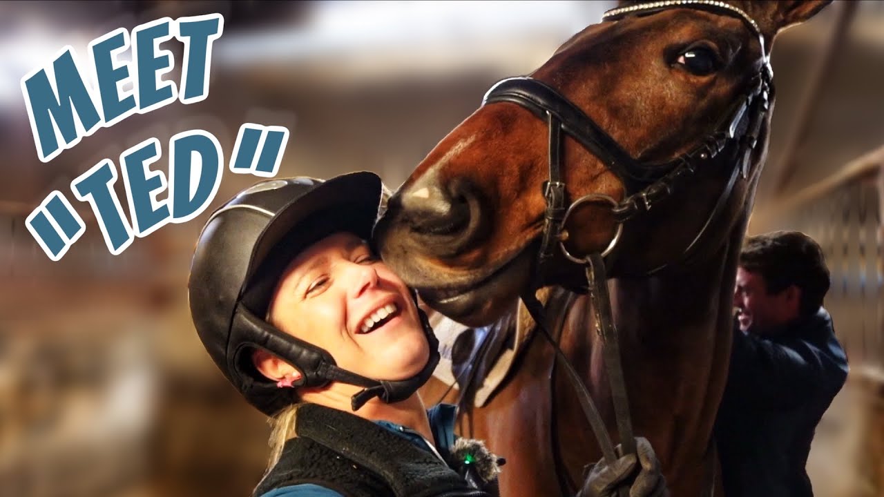 First Ride | On ANOTHER Beautiful Baby Horse - YouTube