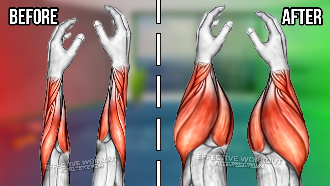 5 BEST Exercises for Bigger Forearms Workout - YouTube