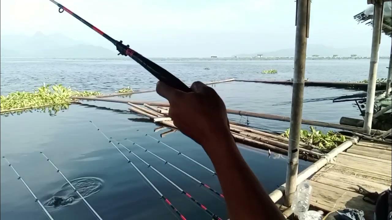 mancing di jatiluhur rakit bah dumyat Madang #mancingjatiluhurterbaru2022 - YouTube