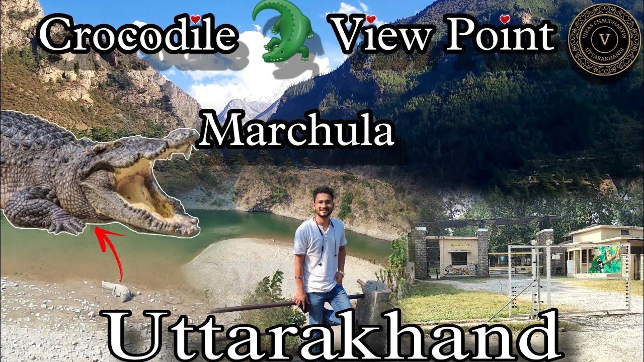 Crocodile🐊seen for the first time|Crocodile Point of Marchula| you can ...