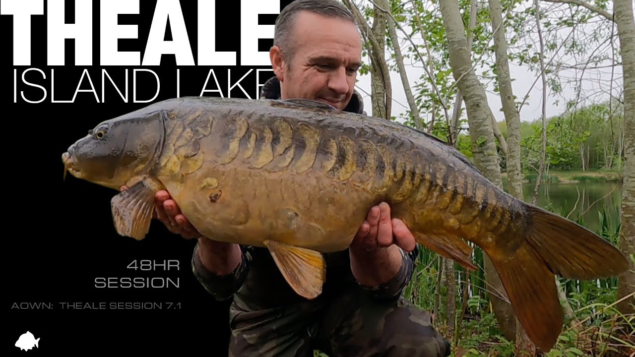 Theale Water Sports Club Fishing at Maddison Chidley blog
