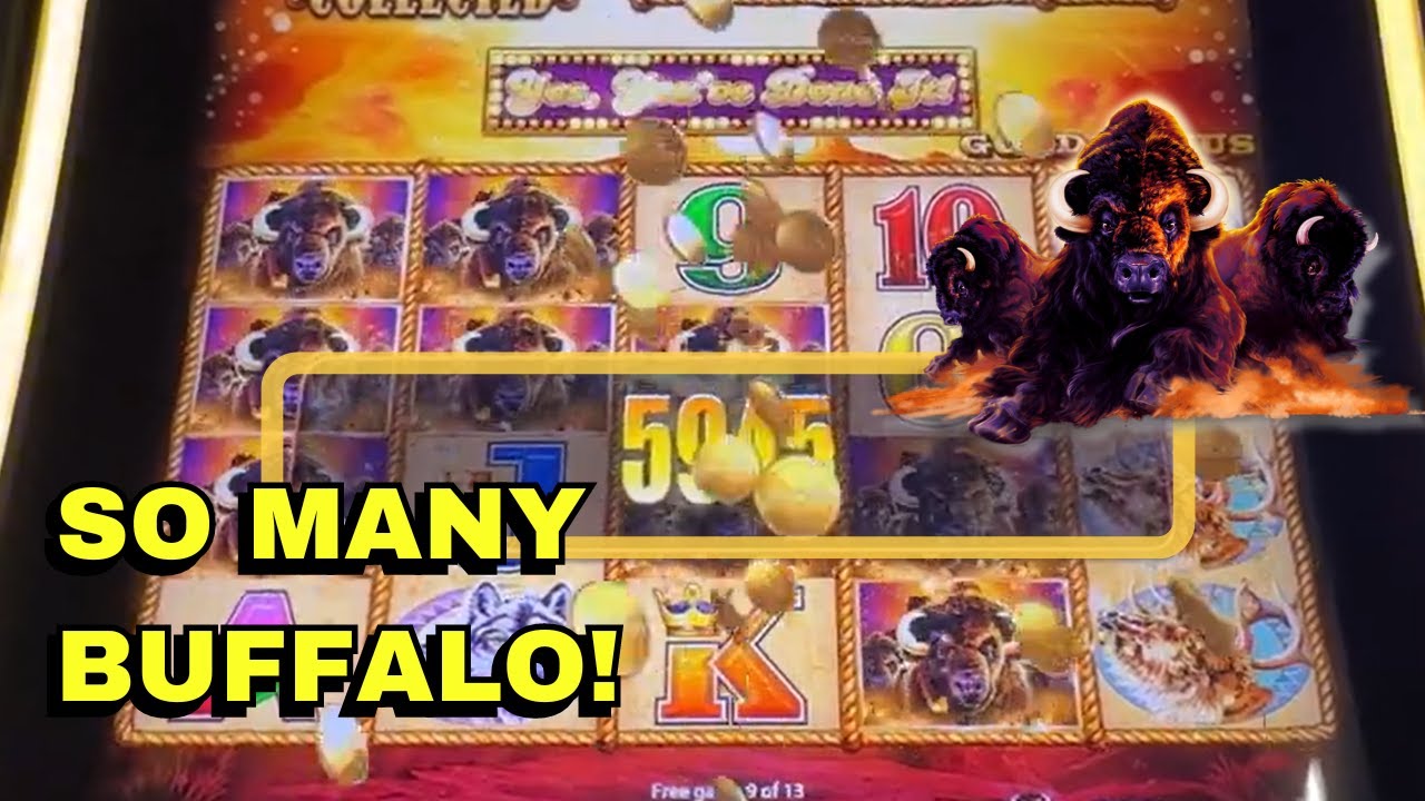 I Can’t Believe This Buffalo Gold Win! - Buffalo Gold Adventures - YouTube