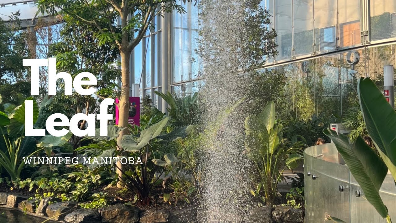 The Leaf @ Winnipeg Manitoba (Longest Indoor Waterfall in Canada ...