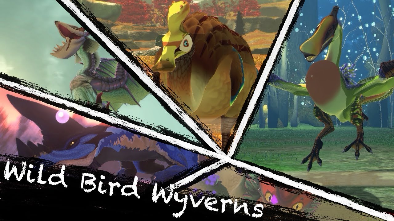 All Wild Bird Wyverns Moves in Monster Hunter Stories 2 - YouTube