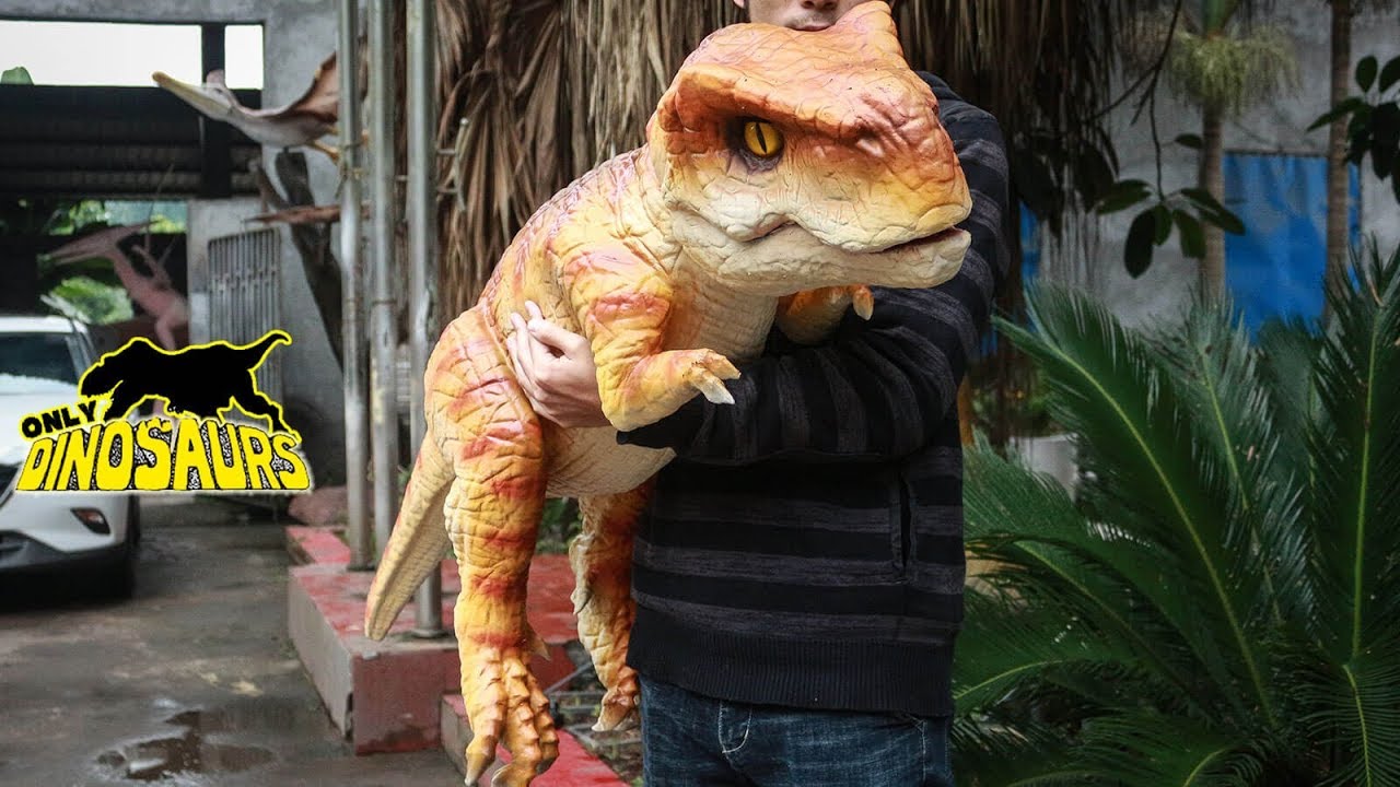 Realistic Dinosaur Baby T-Rex Puppet - YouTube