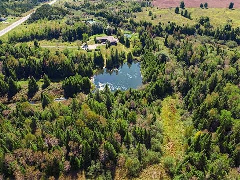 Mono, Ontario - 3+3 Bedroom Bungalow on 49.25 Acres For Sale | Mary ...