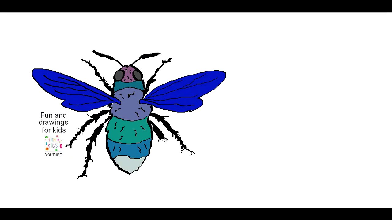 Come disegnare un ape blu - YouTube