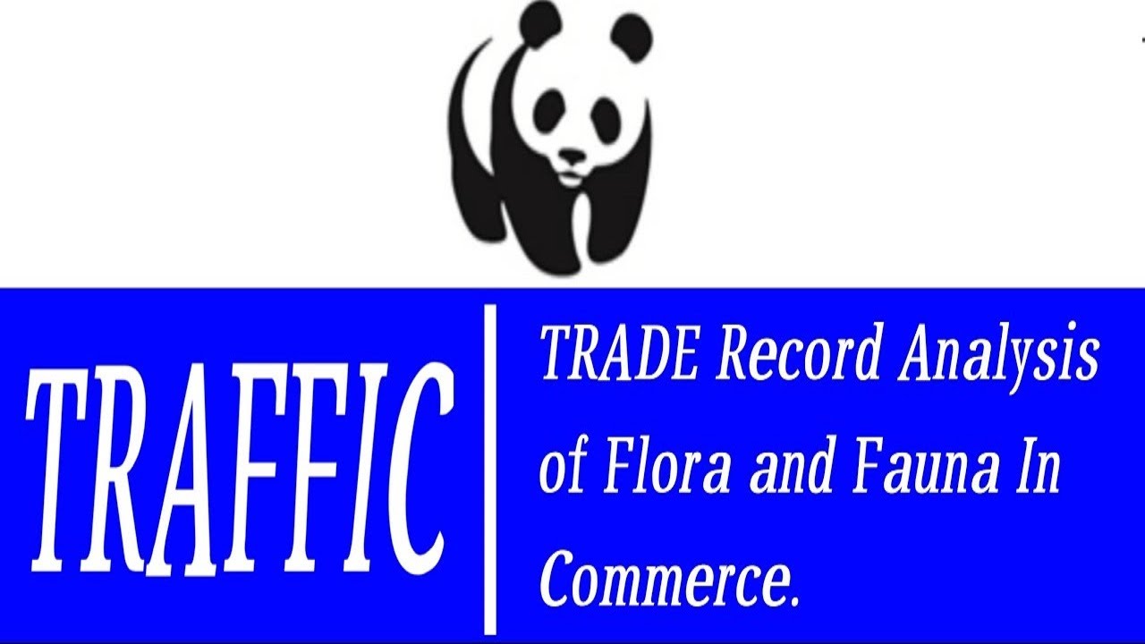 TRADE Record Analysis of Flora and Fauna In Commerce #TRAFFIC - YouTube