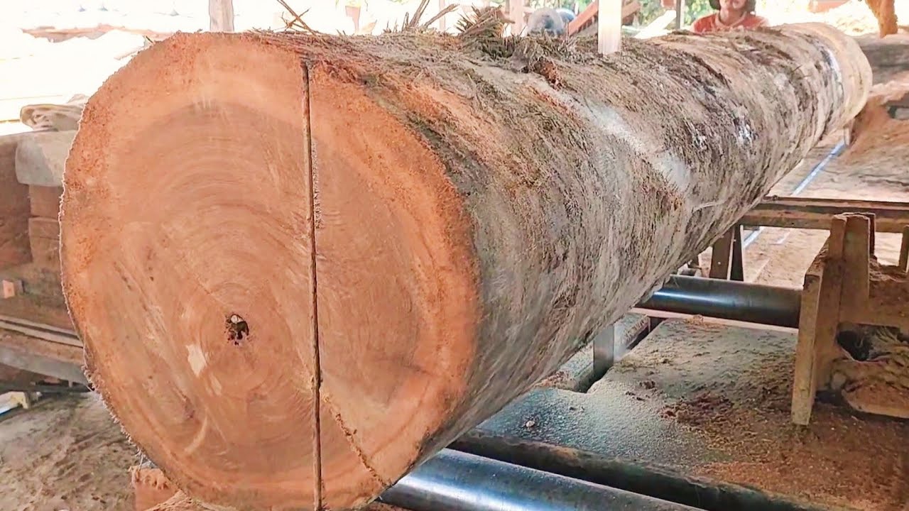 Amazing proses pemotongan kayu andalan #Yellow balau - YouTube
