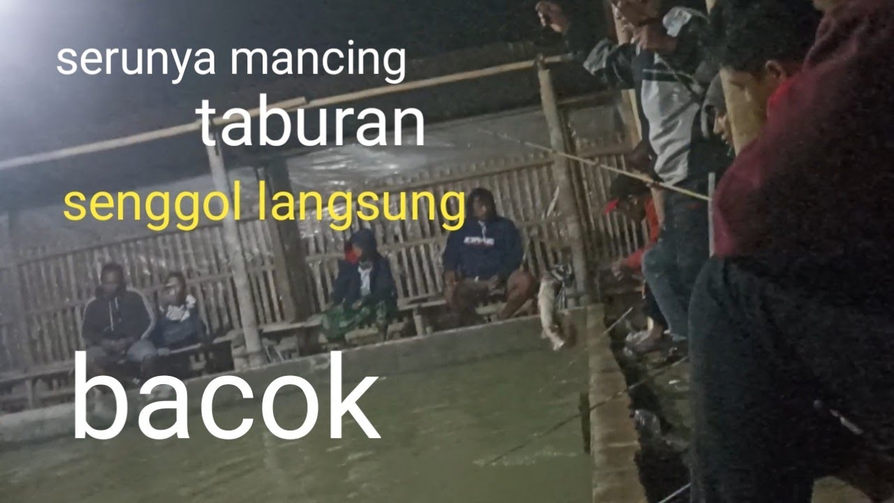 asiknya mancing taburan,senggol langsung bacok II - YouTube