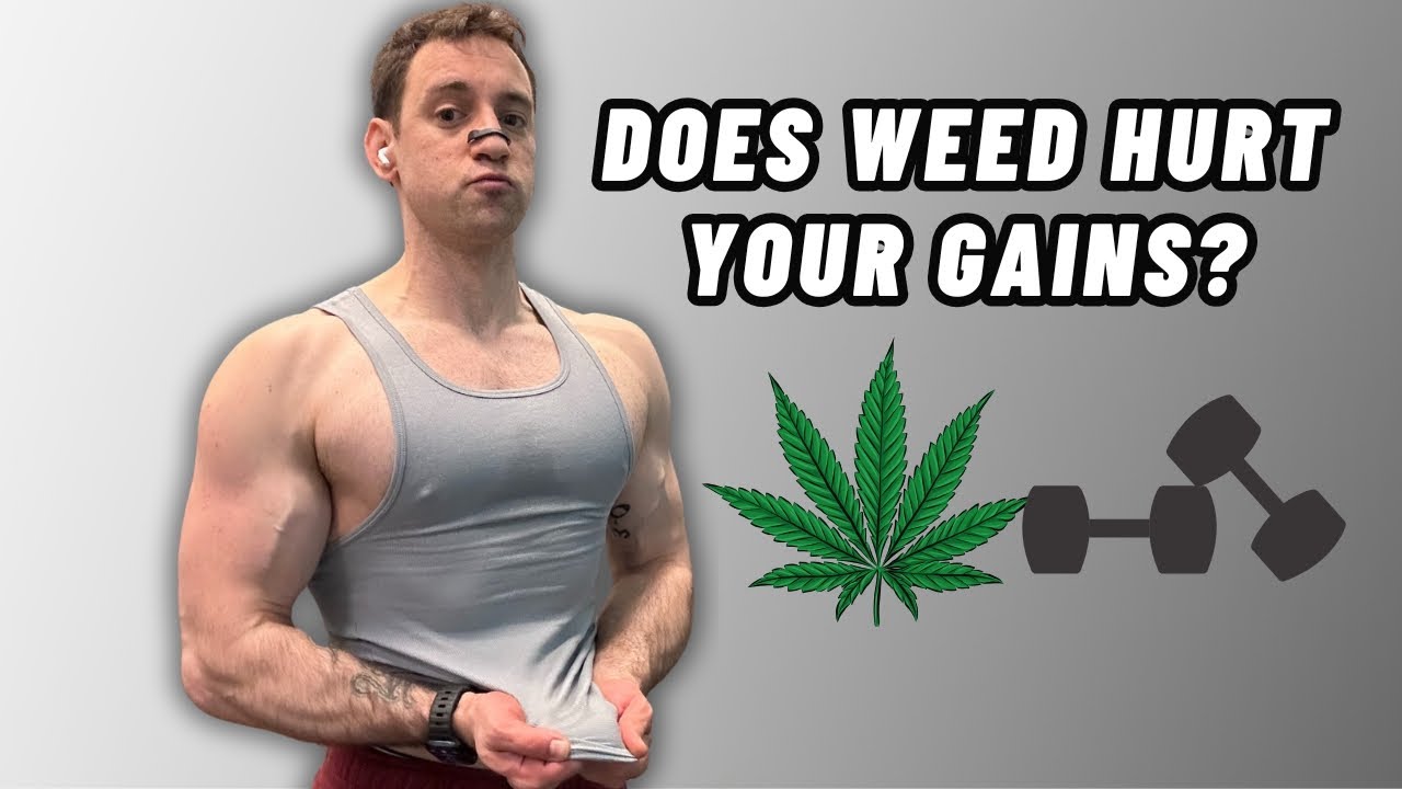 How Weed Affects Muscle Growth, Fat Loss & Strength - YouTube