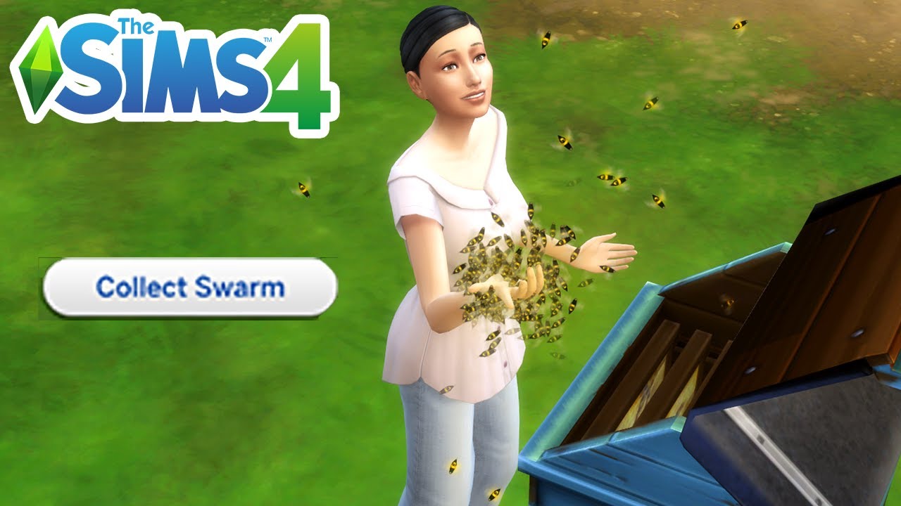 How To Use Collect Swarm Option (Bee Swarm Guide) - The Sims 4 - YouTube
