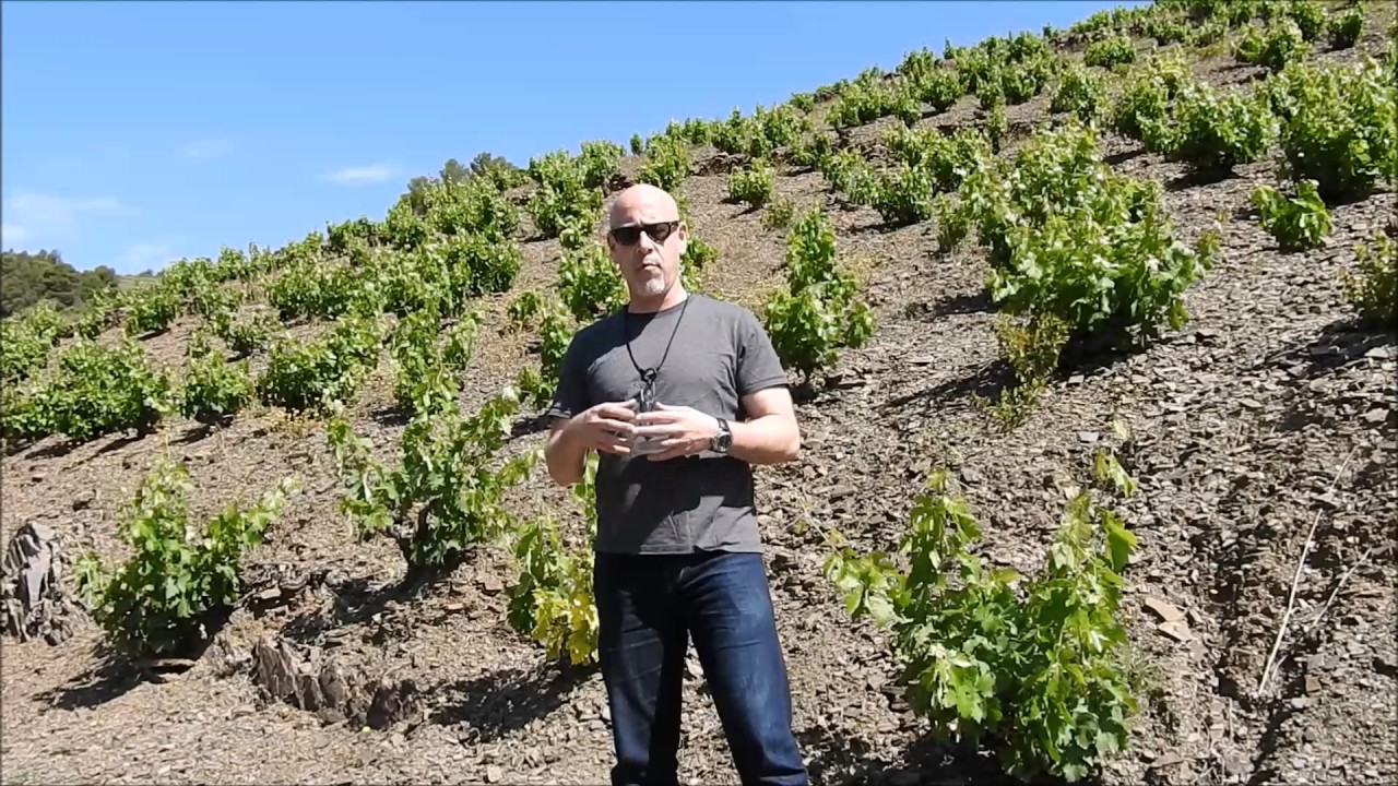 Priorat vineyards with Mr Michael Schachner of the Wine Enthusiast and ...