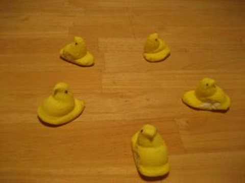 happy easter peeps stop motion video dance - YouTube