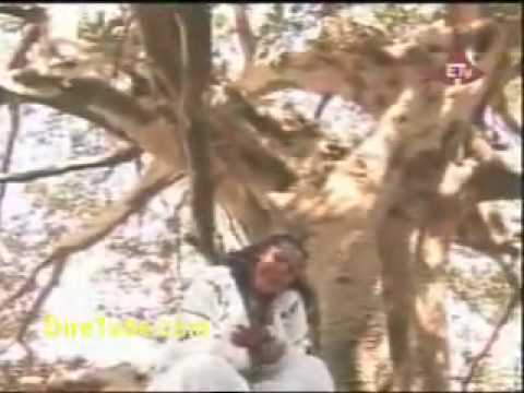 Traditional Amharic:Amsale Meteke - Abajalew - YouTube