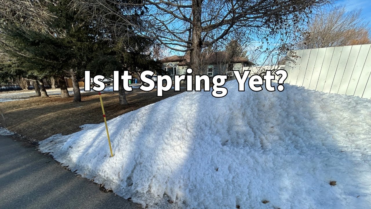 Early Spring Walk About Youtube