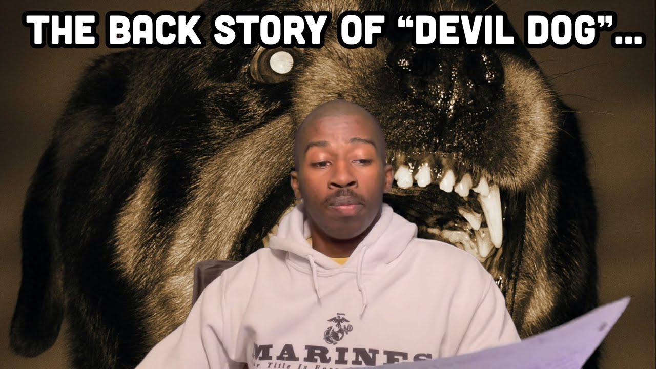 How Did The Us Marines Get The Name Devil Dogs