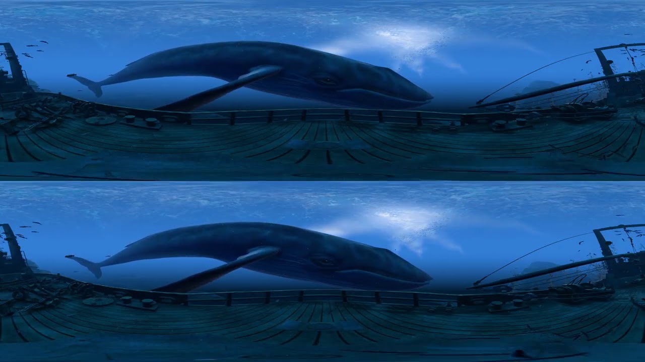 VR EXPERIENCE-THE BLU WHALE - YouTube