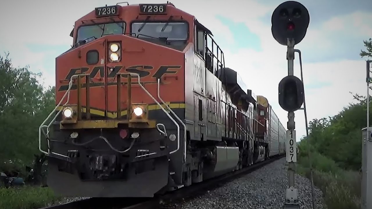 BNSF Train H-CDTGAL Splits SP Tri-Light Signal | Flatonia, TX - YouTube
