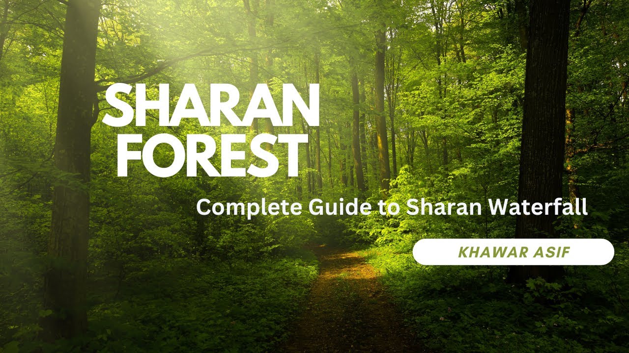 Sharan Forest | Sharan Pods | Sharan waterfall | Complete Guide | # ...